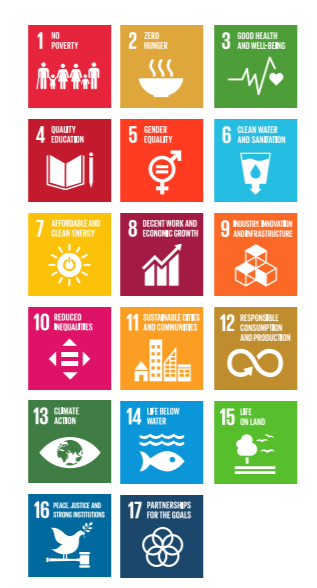 United Nations SDG’s – Dialogue with the Dutch